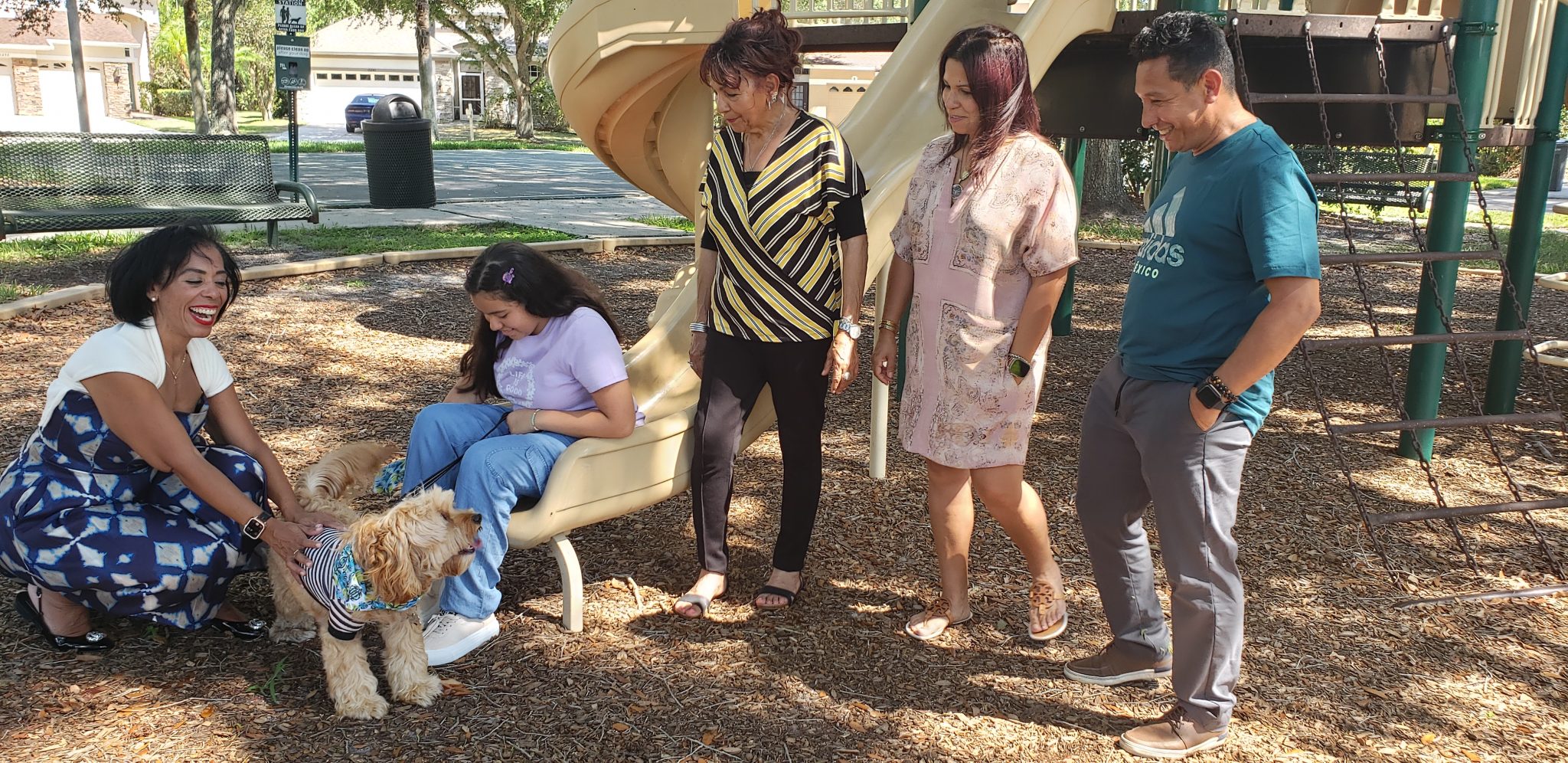 Values – Alonzo for BOCC